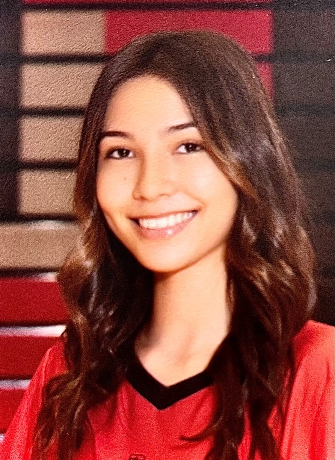 2022 Class 4A Volleyball First-Team Photo Gallery - Pennsylvania Big 5/ ...