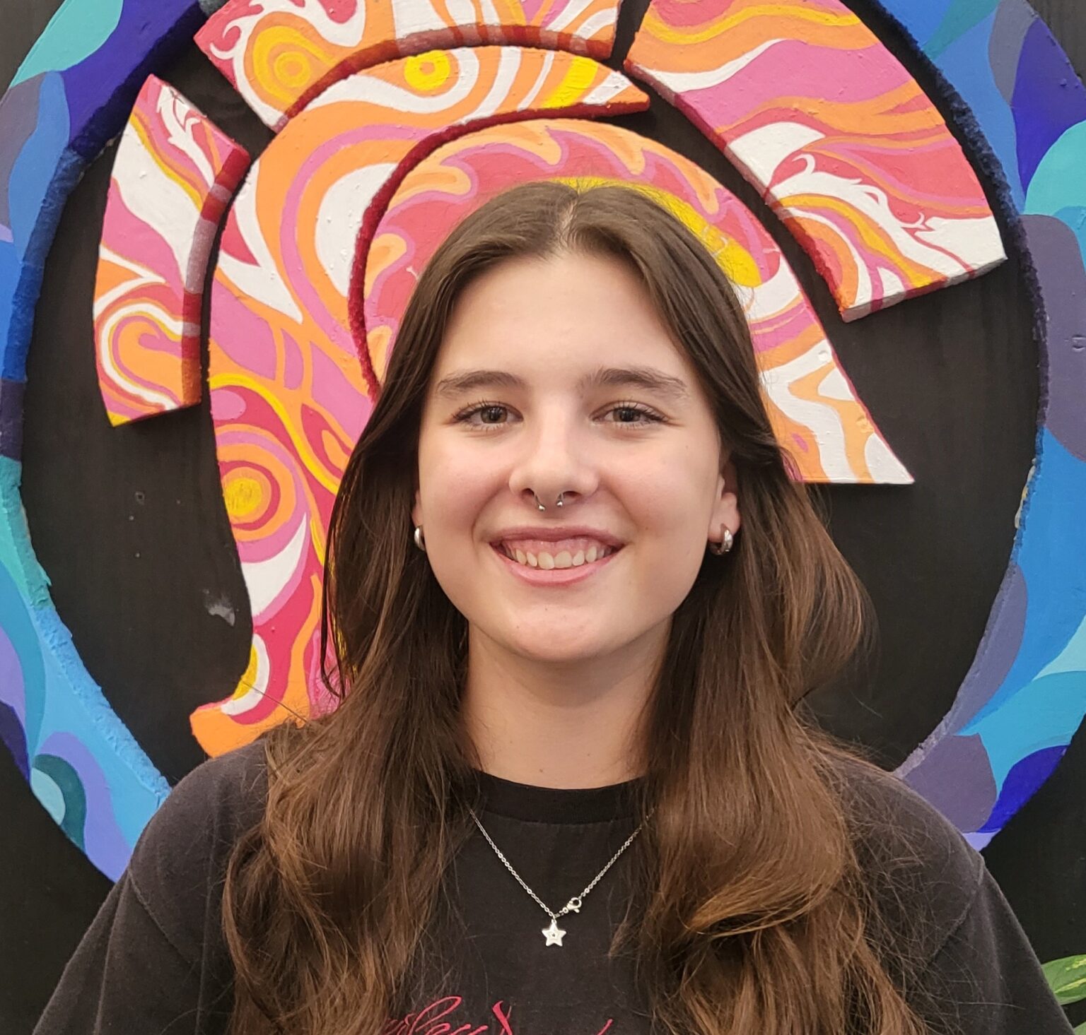 2024 Class 5A Softball First Team Photo Gallery - Pennsylvania Big 5/6 ...