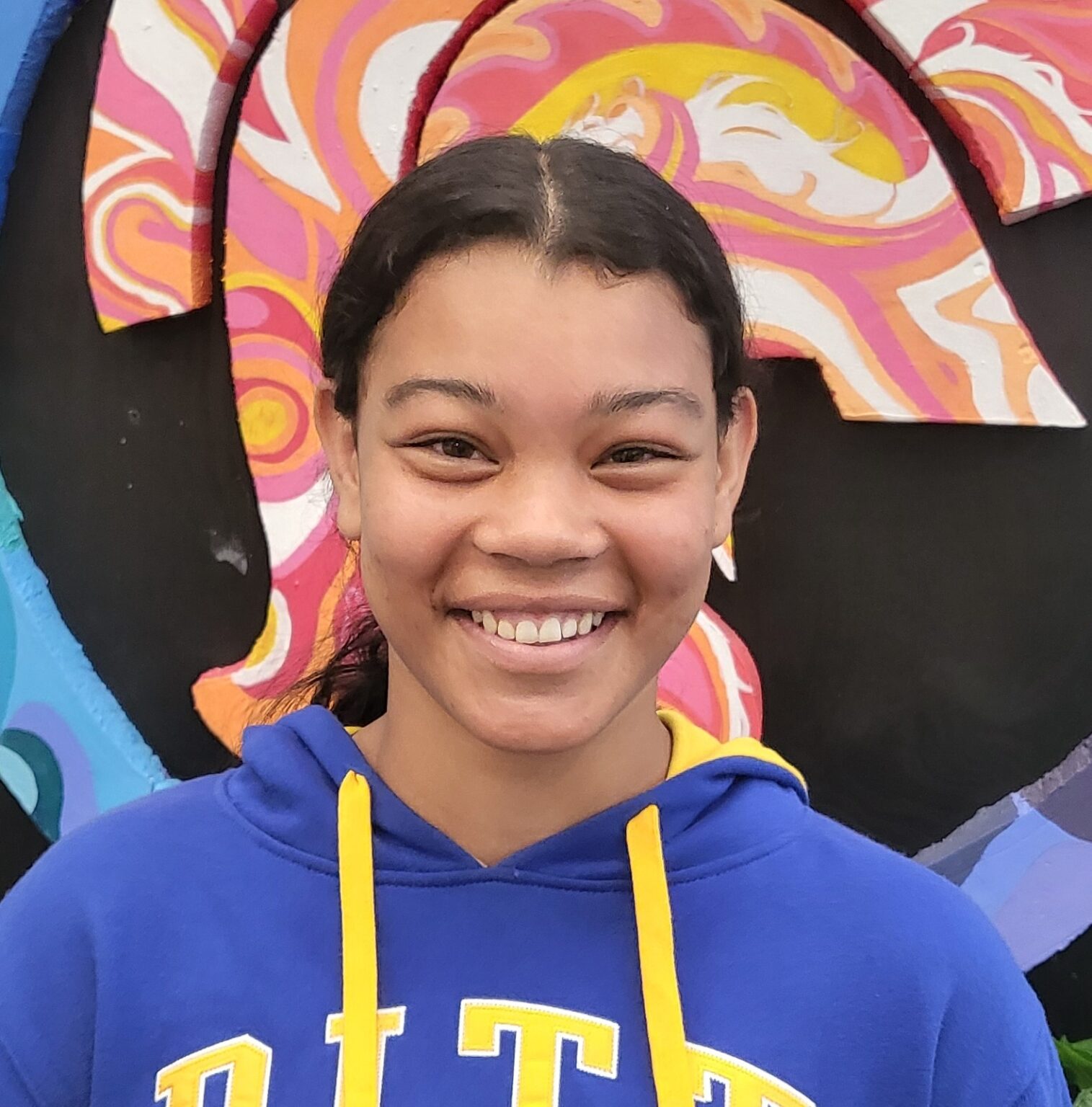 2024 Class 5A Softball First Team Photo Gallery - Pennsylvania Big 5/6 ...